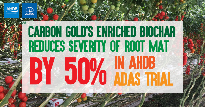 Root Mat - How to Reduce Severity with Biochar - Carbon Gold