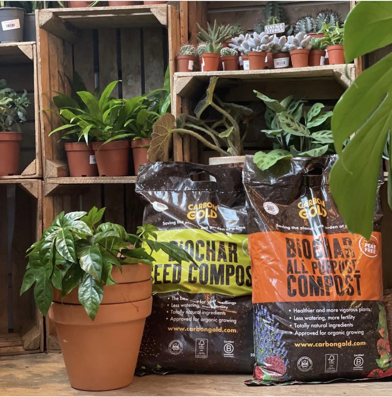 Biochar All Purpose Compost for Sustainable Gardening