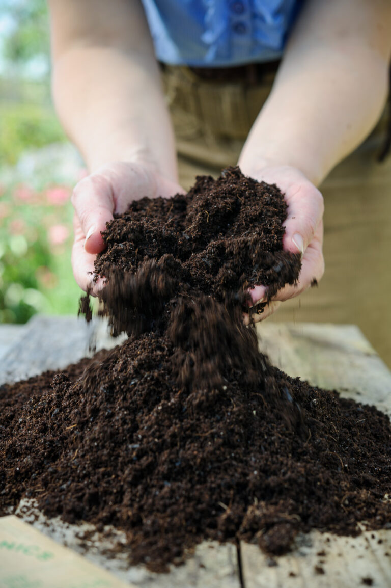 Biochar All Purpose Compost - Carbon Gold