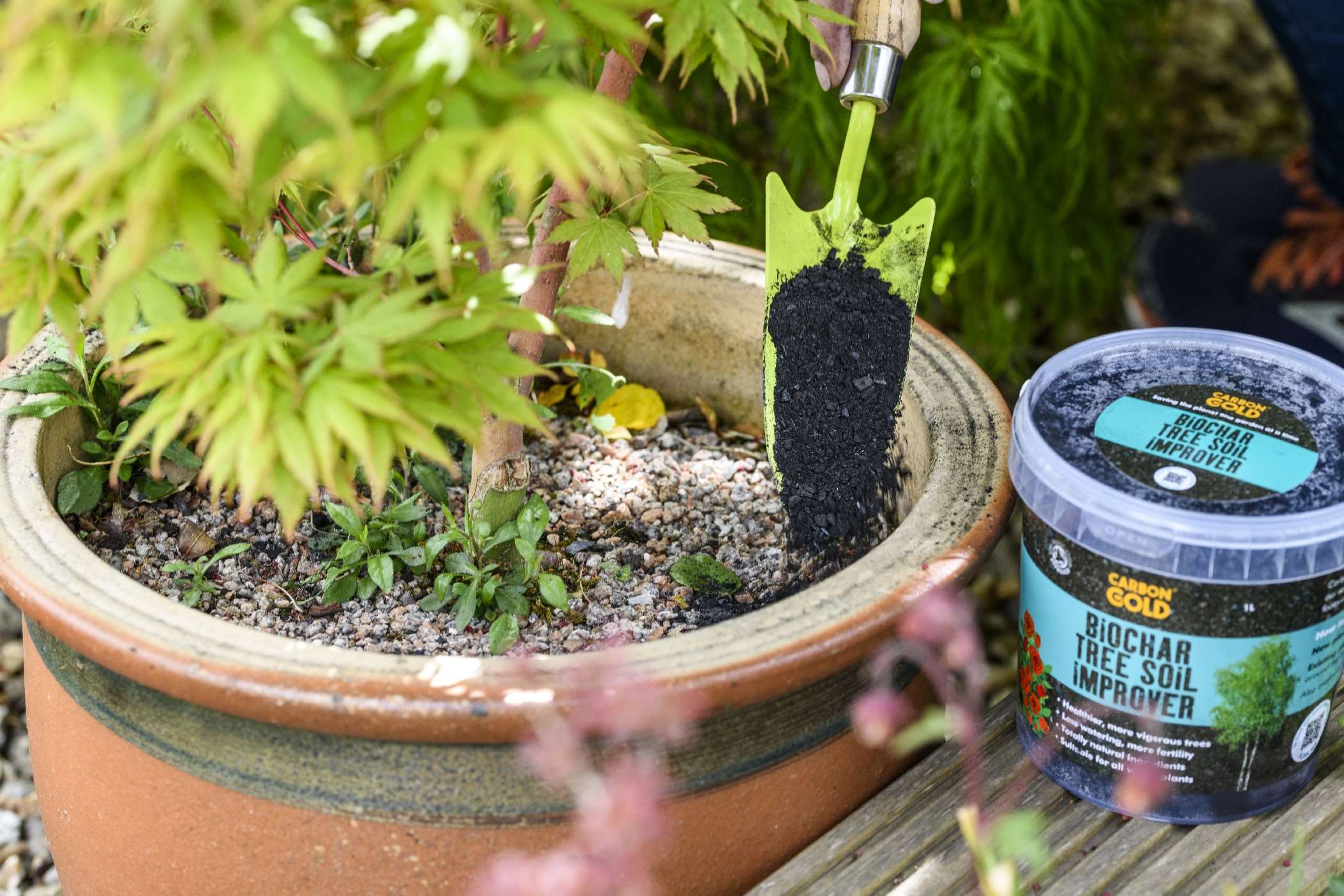 Biochar Tree Soil Improver - Carbon Gold