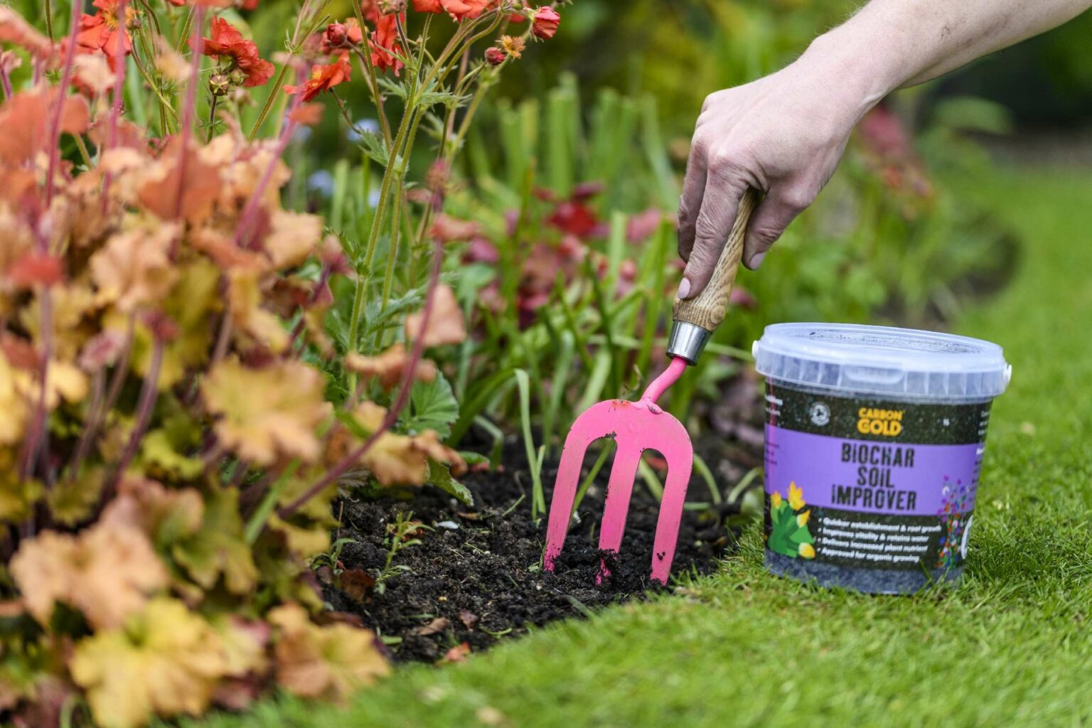 Our top 10 reasons why you should use biochar in your garden - Carbon Gold