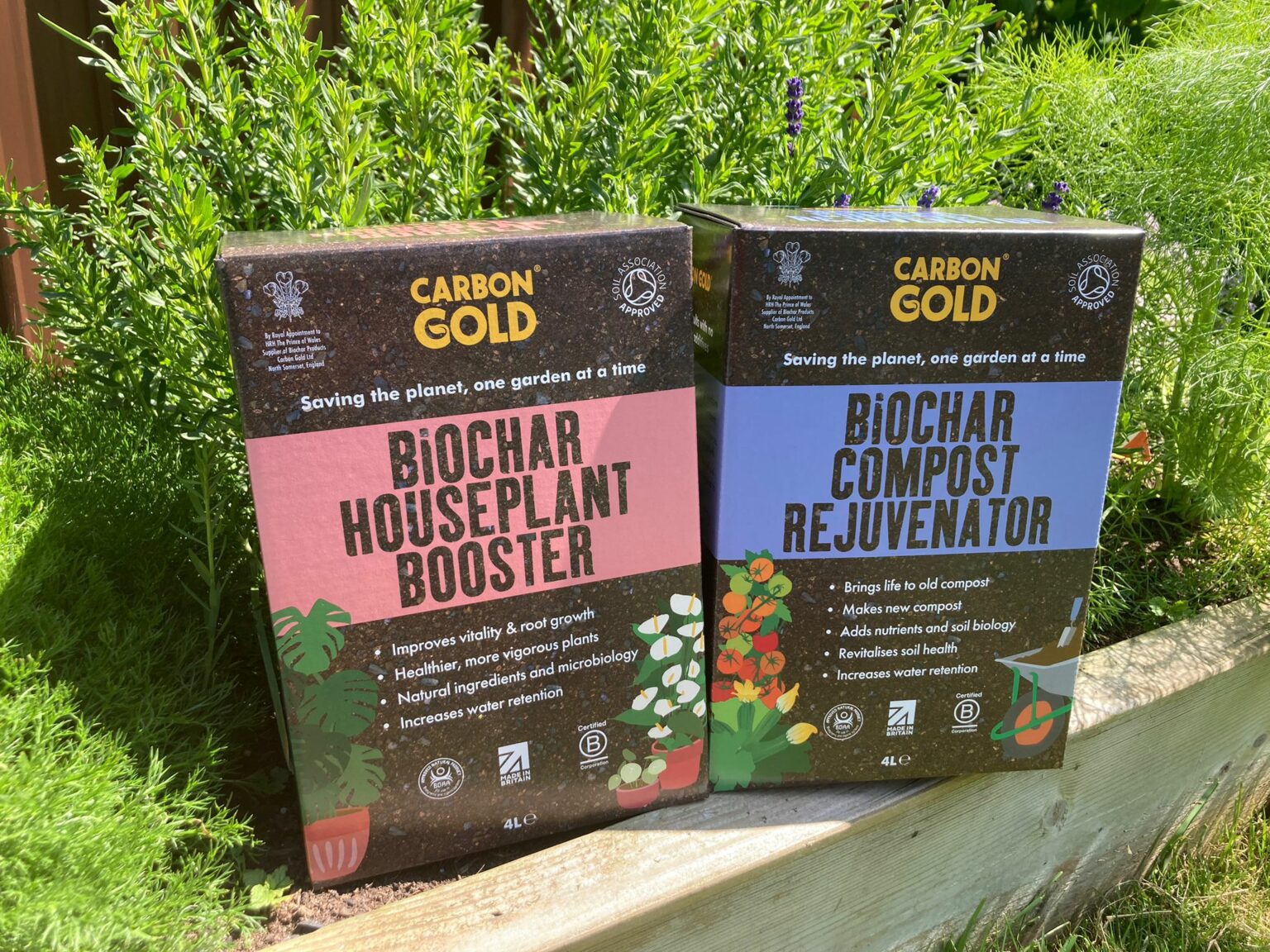 What is Biochar? Biochar Explained | Carbon Gold