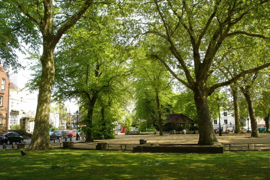 The Art of Structural Soils using the Stockholm Tree Pit Method ...